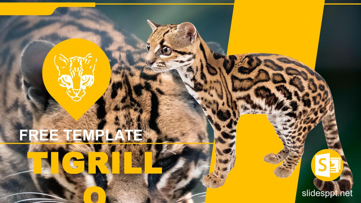 ایران فایلز | قالب پاورپوینت گربه سانان Tigrillo